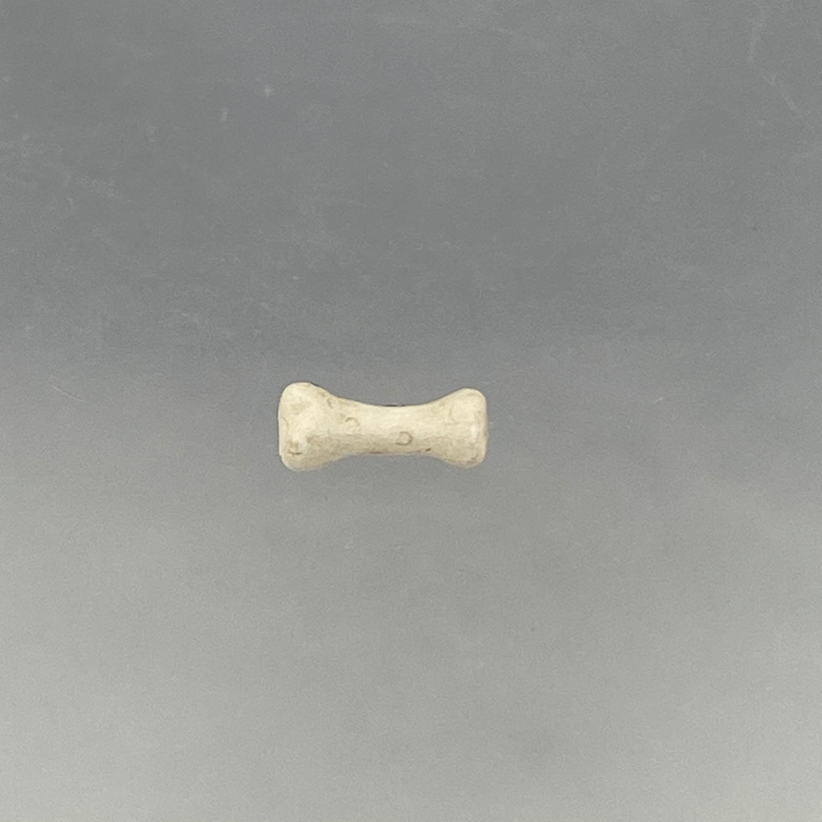 2081 -Enrico-P's Dio's Bone| Chibi Chop Shop