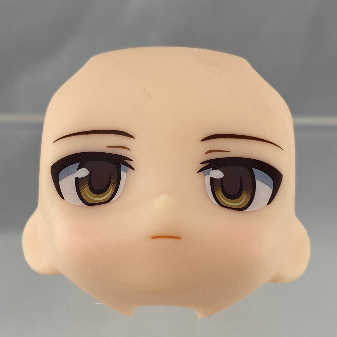 629-1 -Taiho's Standard Faceplate| Chibi Chop Shop
